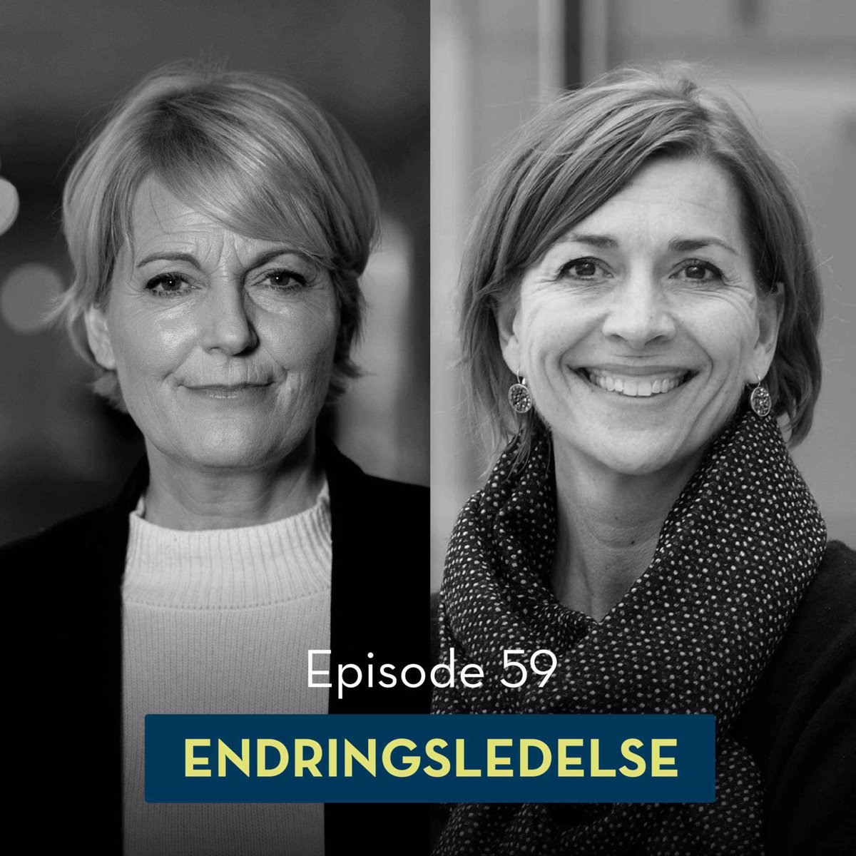 59: Endringsledelse, med Vibeke Fürst Haugen og Inger Stensaker | Lederskap – NHHs podkast om ...