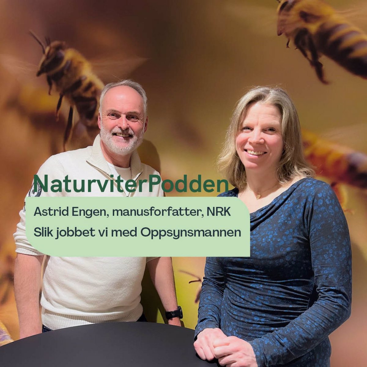 Slik jobbet vi med Oppsynsmannen på NRK | NaturviterPodden | Podkast ...
