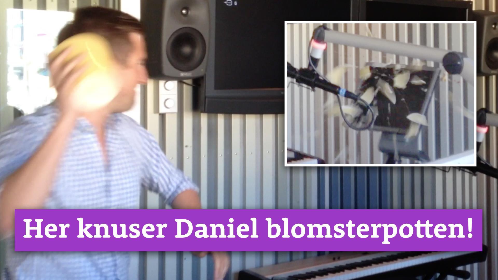 Her knuser Daniel blomsterpotten! | Lyden av Norge