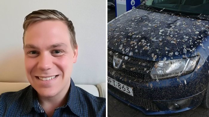 David Modin's Instagram, Twitter & Facebook on IDCrawl